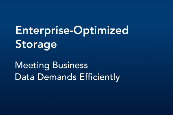 Anewtech Systems - Industrial Server/ Storage - Storage Server